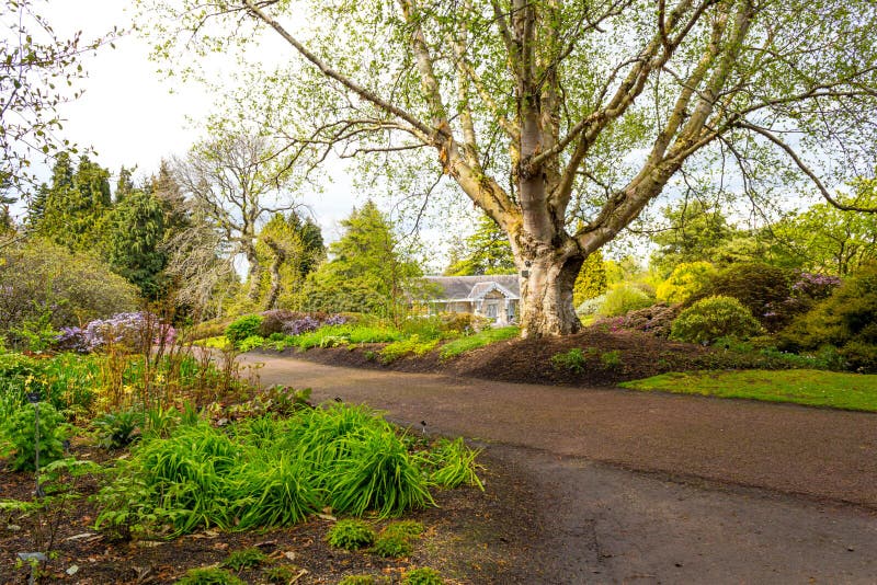 Beautiful, Botanic Garden in Spring. Stock Photo - Image of landscape ...