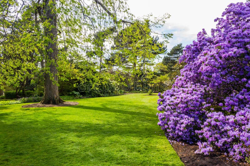 Beautiful, Botanic Garden in Spring. Stock Photo - Image of blooming ...