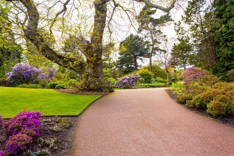 Beautiful, Botanic Garden in Spring. Stock Photo - Image of april ...