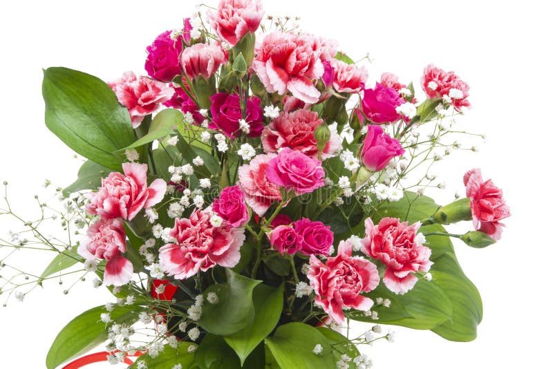 Beautiful Bouquet of Carnations and Roses Isolated Stock Image - Image ...