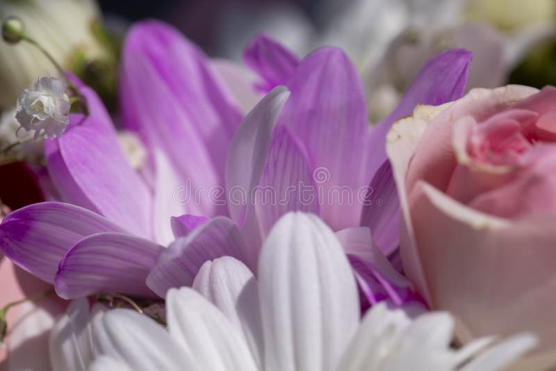 A Beautiful Bouquet Combined with Different Flowers Stock Image - Image ...