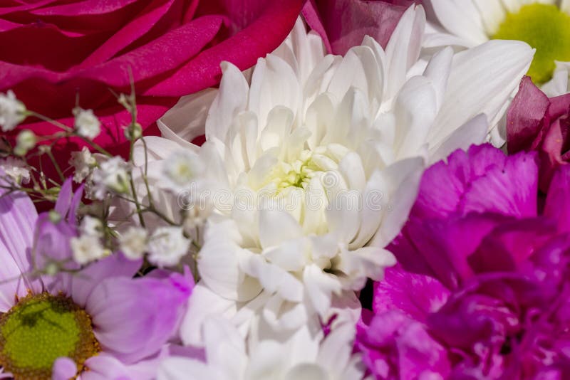 A Beautiful Bouquet Combined with Different Flowers Stock Photo - Image ...