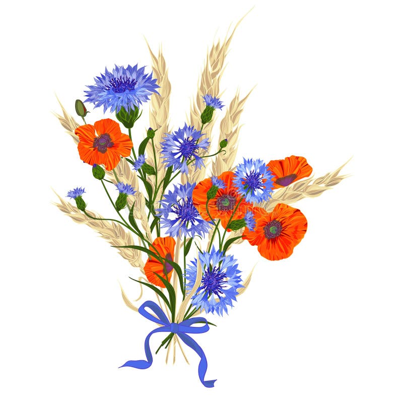 Beautiful Bouquet Of Cornflowers Poppies And Wheat Spikelets Tied