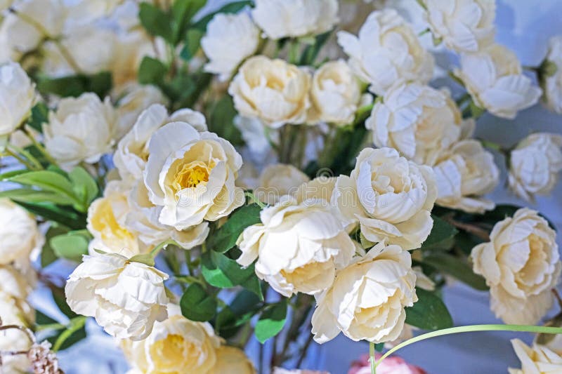 Beautiful Bouquet of Delicate Cream Flowers Stock Photo - Image of ...