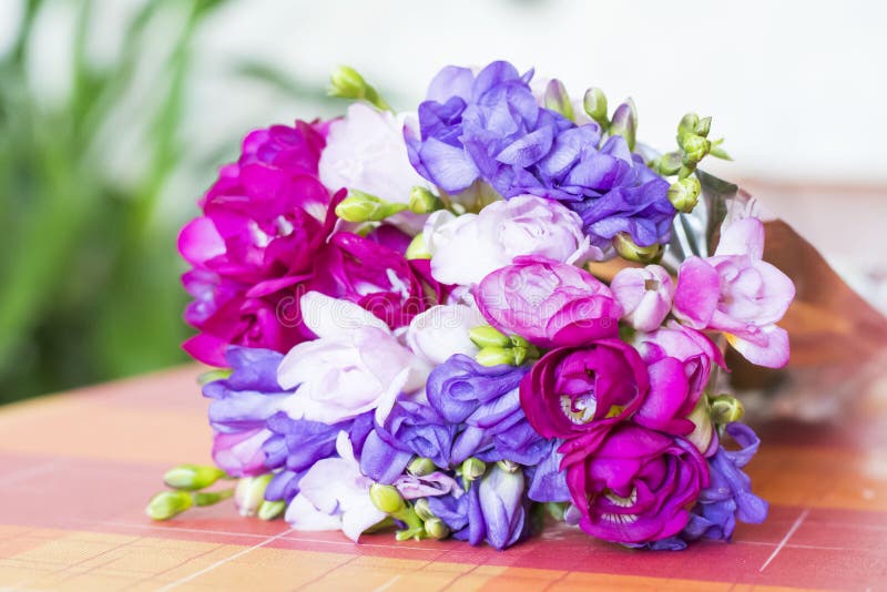 Beautiful Bouquet of Freesias Stock Photo - Image of bright, exotic ...