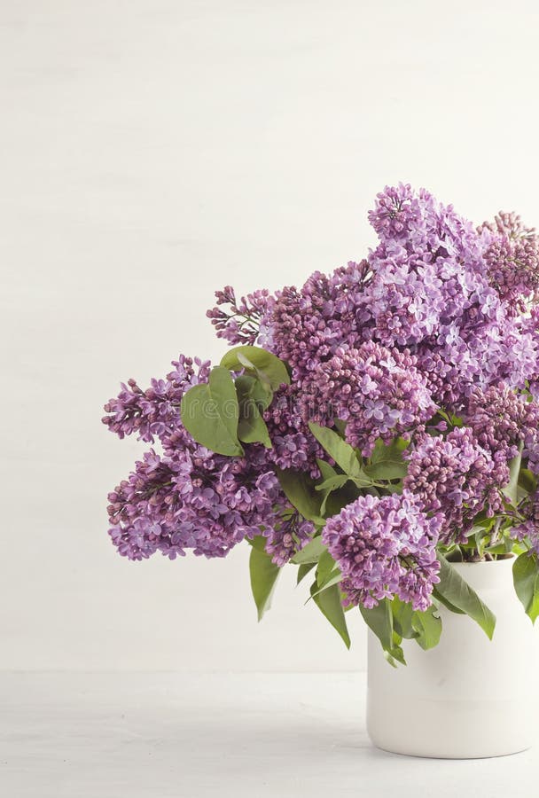 Beautiful Bouquet of Fresh Lilac Flowers Stock Photo - Image of floral ...