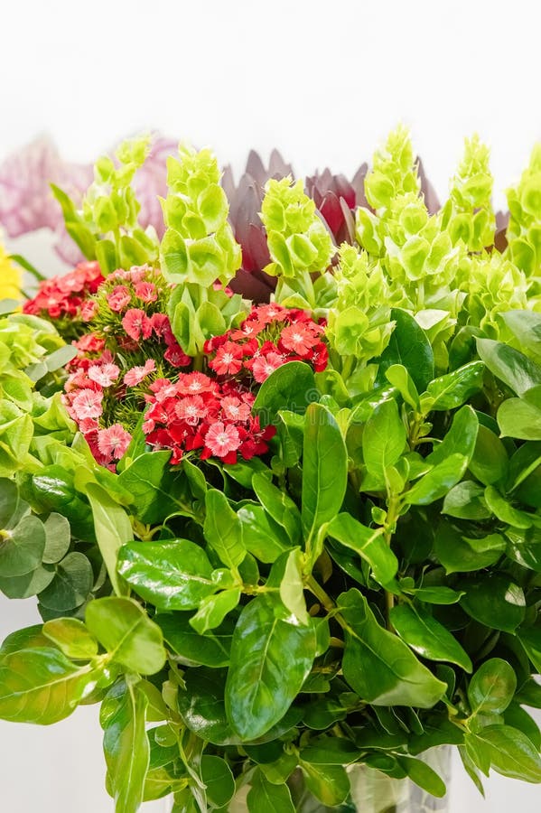 A Beautiful Bouquet of Fresh Red Small Carnations and Green Plants ...