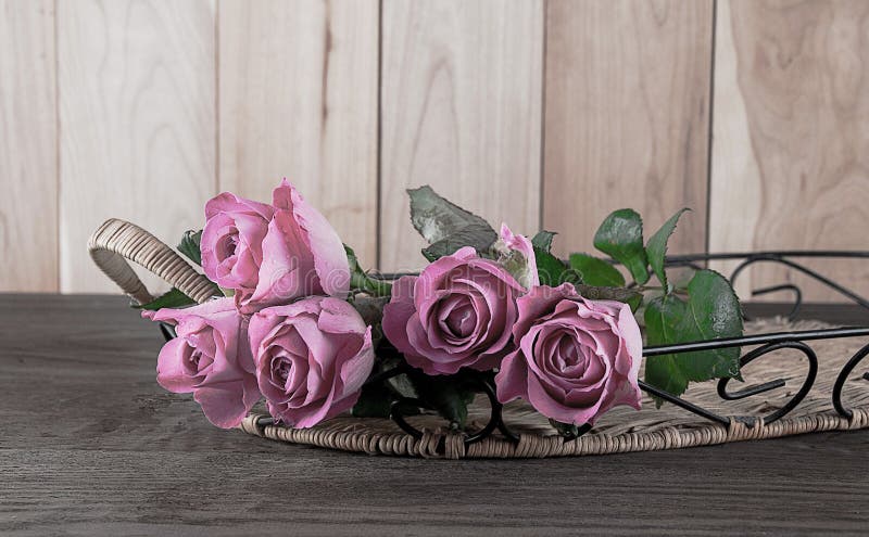 Beautiful Bouquet of Freshly Cut Roses. Stock Image - Image of blooming ...