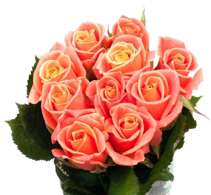 Beautiful Bouquet of Orange Roses Stock Photo - Image of color, flowers ...