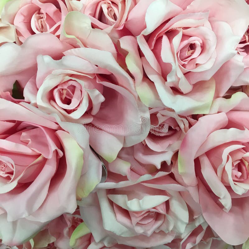 Beautiful Bouquet of Pink Roses Stock Image - Image of romance, pink ...