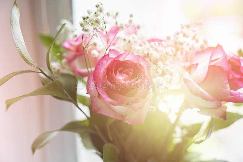 Beautiful Bouquet of Pink Roses on a Window with Soft Sunshine. Stock ...