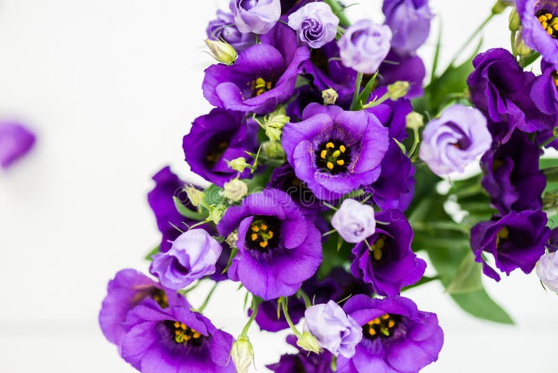 Beautiful Bouquet of Purple Eustoma Flowers, Lisianthus Stock Photo ...