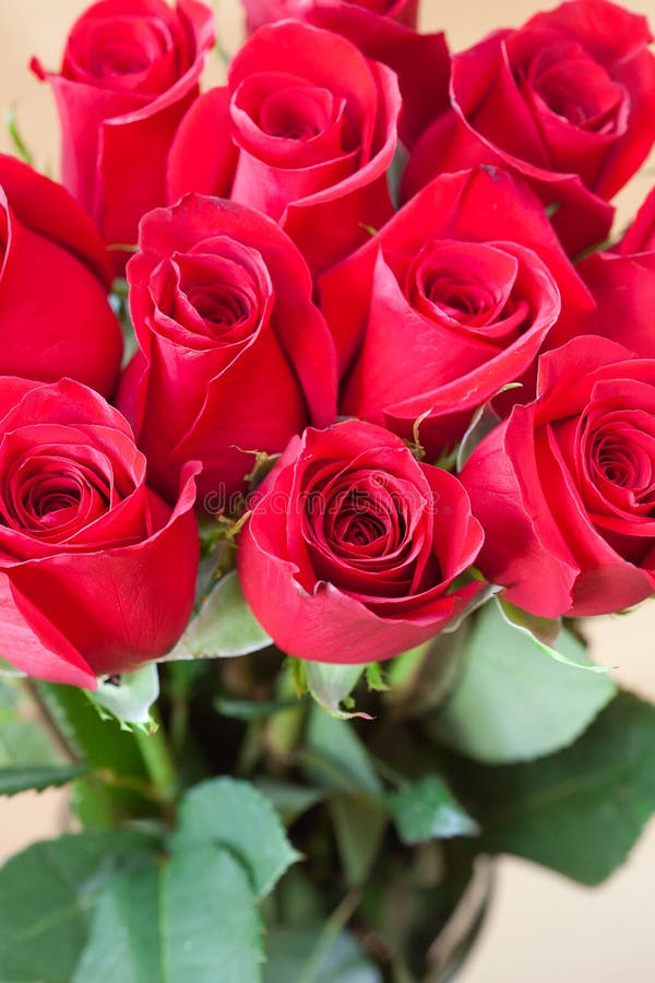 Beautiful Bouquet of Red Roses Stock Image - Image of romance, plant ...