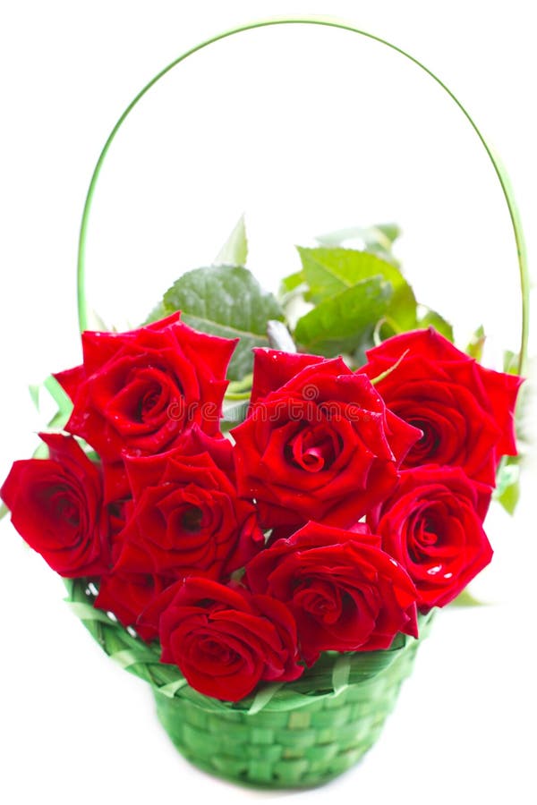 Bouquet of red roses stock photo. Image of festal, nature - 18168818