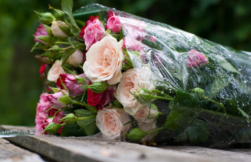 Beautiful bouquet of roses stock image. Image of beautiful - 10385079