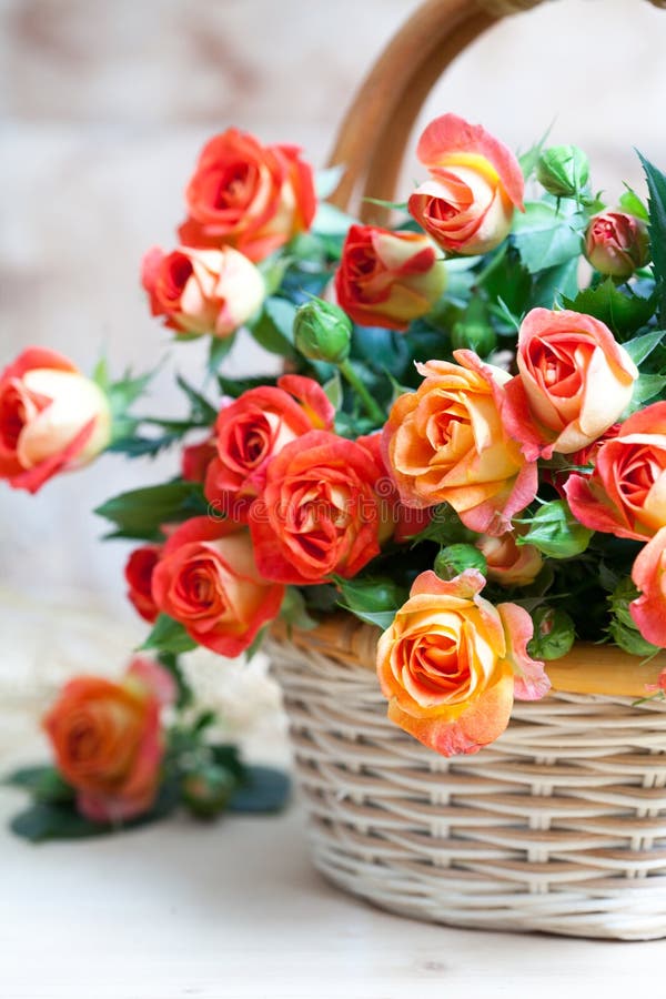 Beautiful Bouquet of Roses in Basket on Wooden Table, Selective Stock ...