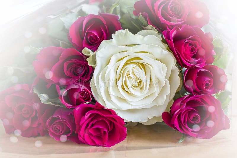 Beautiful Bouquet of Une White and Red Roses on Table Close-up Stock ...