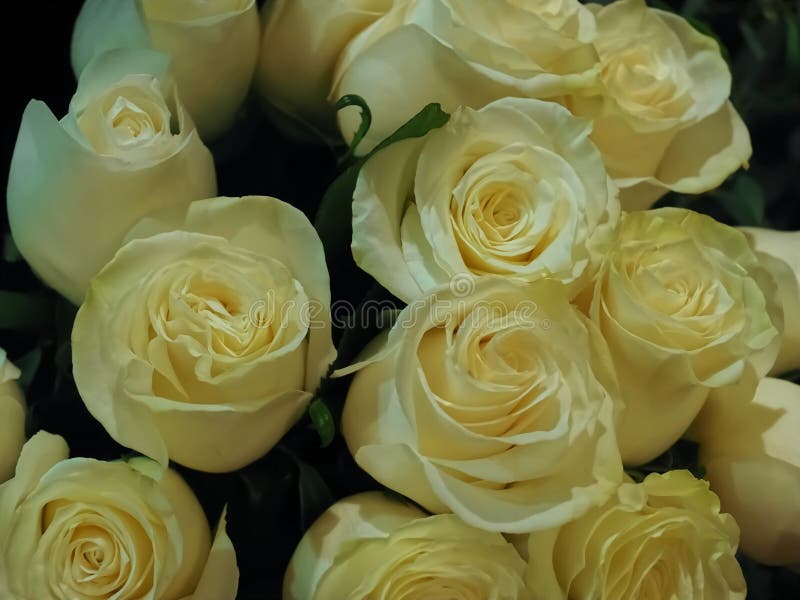 Bouquet of Flowers with Yellow Roses Stock Image - Image of color ...