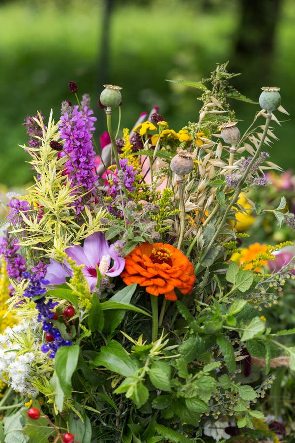 Beautiful Bouquets from Flowers and Herbs Stock Image - Image of ...