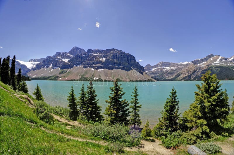 Beautiful Bow Lake of the Canadian Rockies Stock Image - Image of great ...