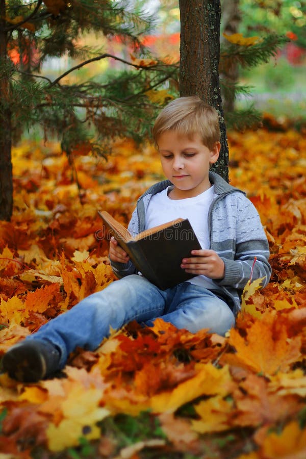 Beautiful Boy Sitting Under a Maple Tree Stock Image - Image of ...