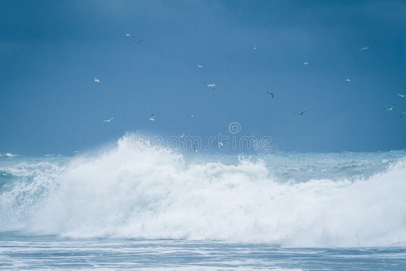Beautiful Breaking Waves in the Sea and Seagulls Over Them Stock Image ...