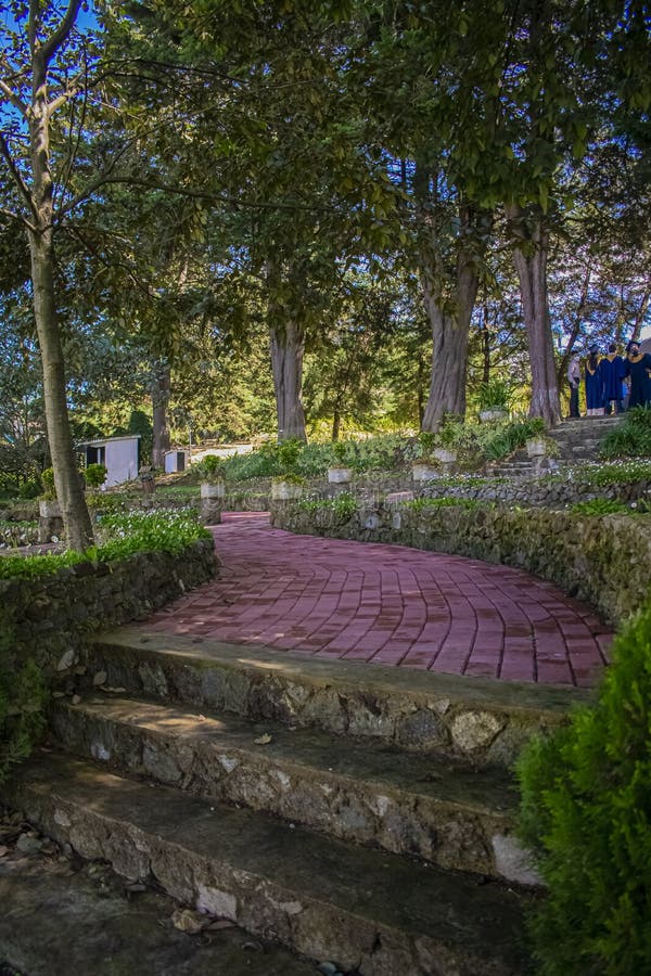 Beautiful Brick Path and Steps in the Garden Forest Stock Photo - Image ...