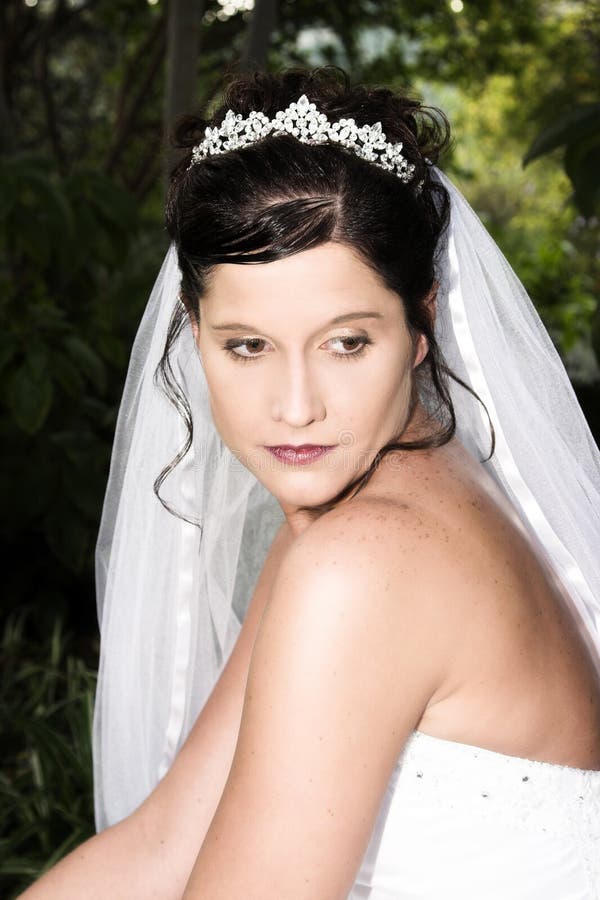 Beautiful Bride stock photo. Image of bridal, caucasian - 10883824