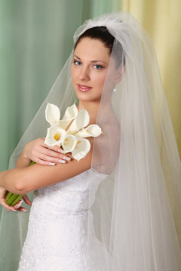 Beautiful bride stock photo. Image of love, bridal, lifestyle - 11886036