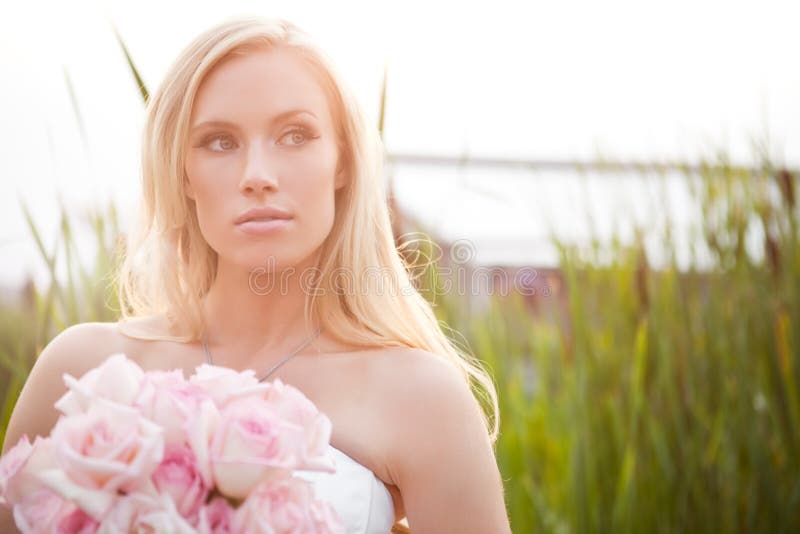 Beautiful bride stock image. Image of lady, caucasian - 18697327