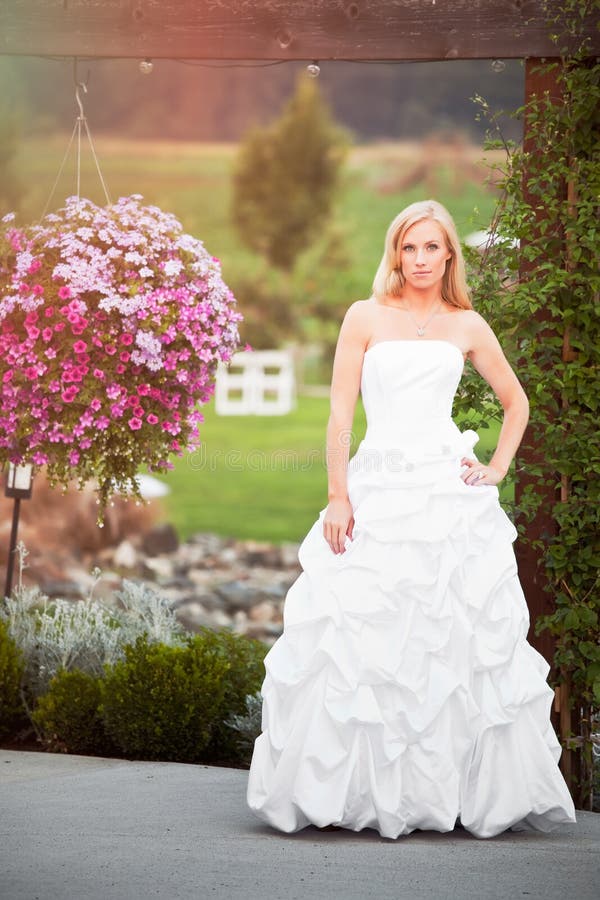 Beautiful bride stock image. Image of portrait, outdoor - 18697337