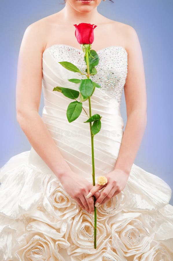 Beautiful Bride with Rose in Studio Stock Image - Image of celebration ...