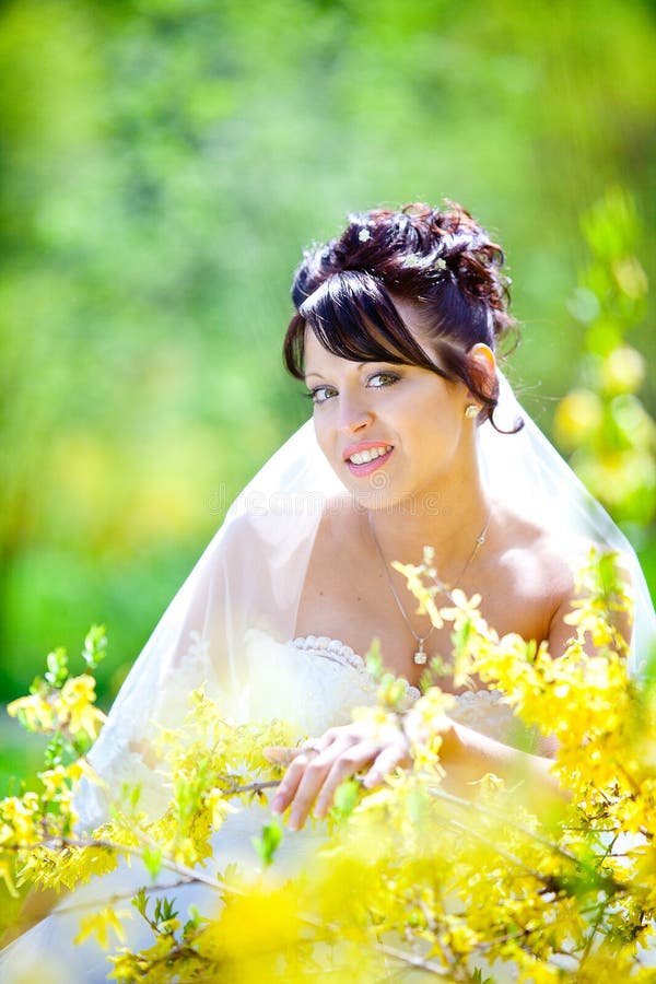 Beautiful bride stock photo. Image of isolated, happiness - 22313354