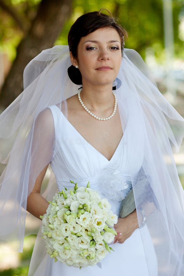 Beautiful bride stock image. Image of beautiful, happiness - 27044849