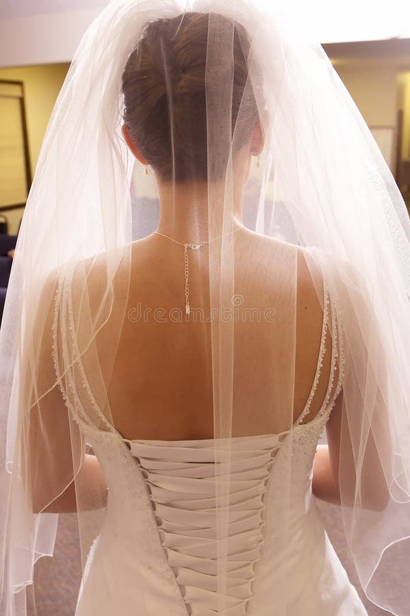 Beautiful Bride from the Back To Show Dress Details Stock Image - Image ...