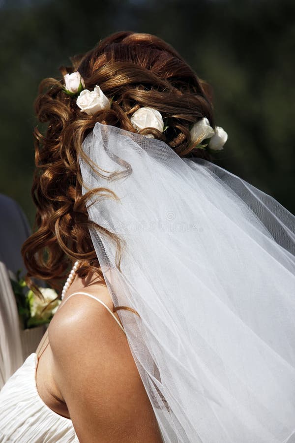 Beautiful bride stock image. Image of life, bridal, adult - 36919515