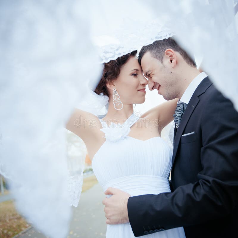 A Beautiful Bride and Groom Stock Photo - Image of portrait, dressed ...
