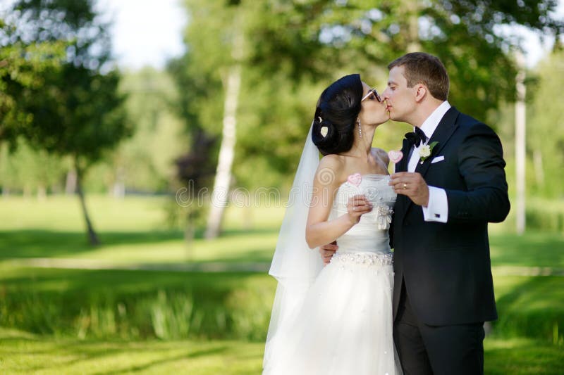 Beautiful bride and groom stock image. Image of bouquet - 29990431