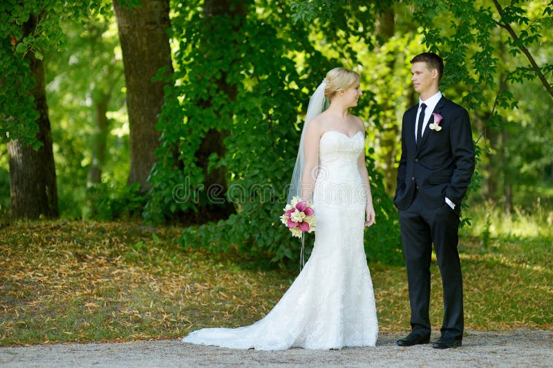 Beautiful bride and groom stock photo. Image of adolescence - 30529916