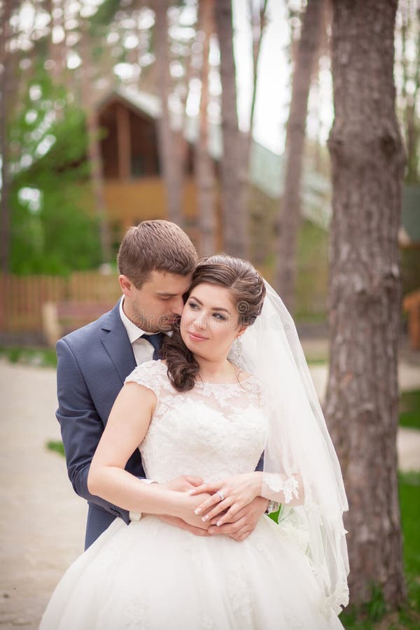 Beautiful bride and groom stock photo. Image of groom - 55770092