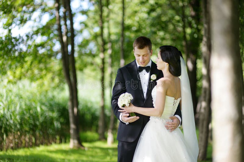 Beautiful bride and groom stock image. Image of bride - 29990413