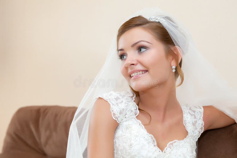 Beautiful Bride in a Luxurious Wedding Dress Stock Image - Image of ...