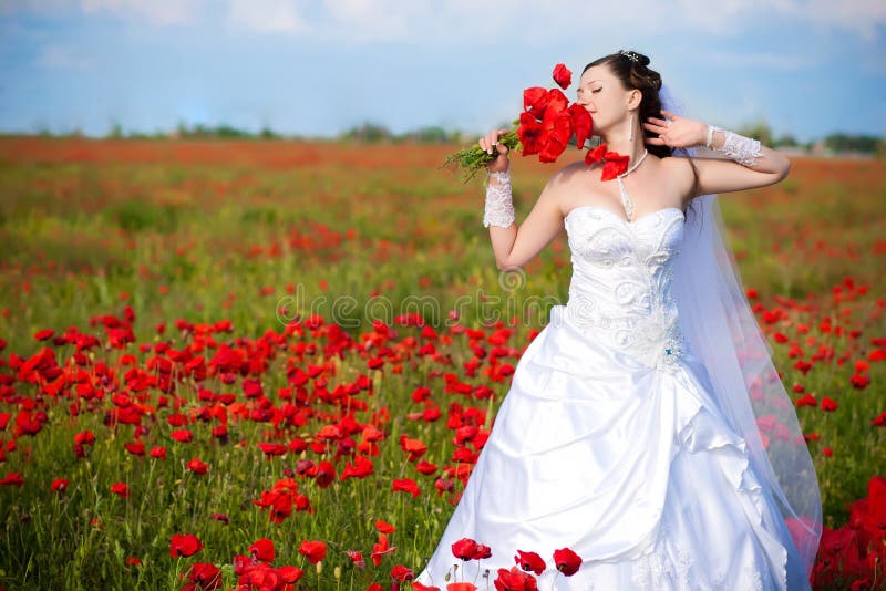 Beautiful Bride in a Poppy Field Stock Image - Image of flower, poppies ...