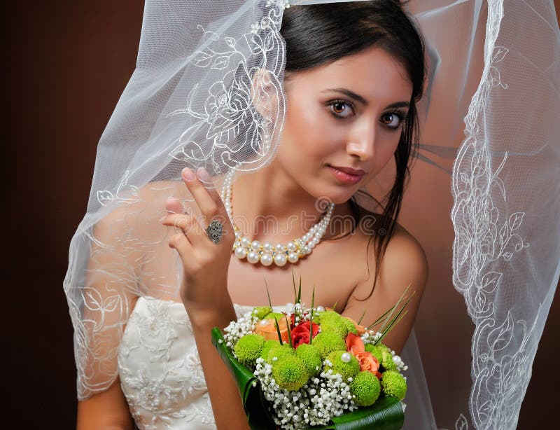 Beautiful bride portrait stock image. Image of human - 11191479