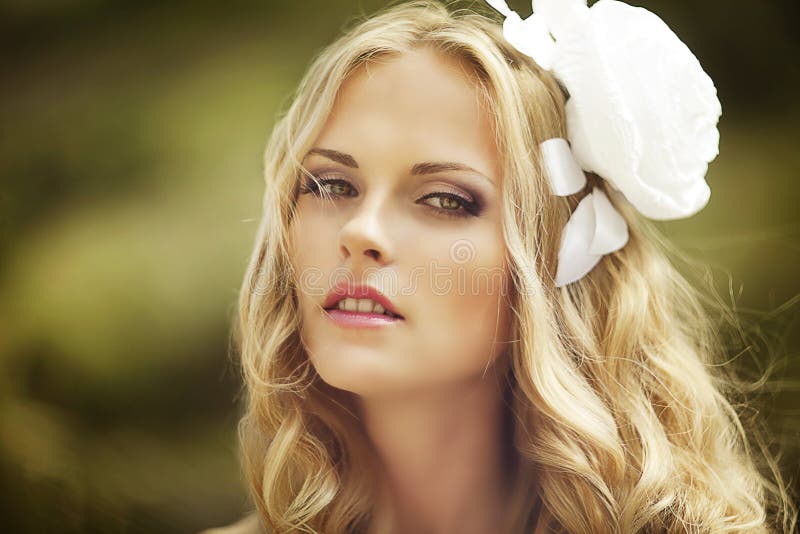 Beautiful bride stock photo. Image of dress, beauty, marriage - 29706546