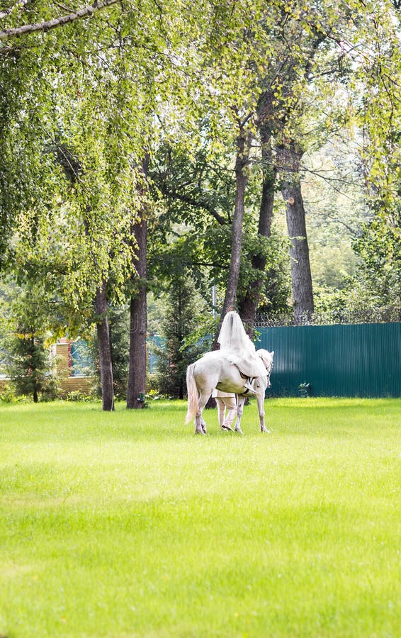 Beautiful Bride Riding a Horse on Her Wedding Day Stock Image - Image ...