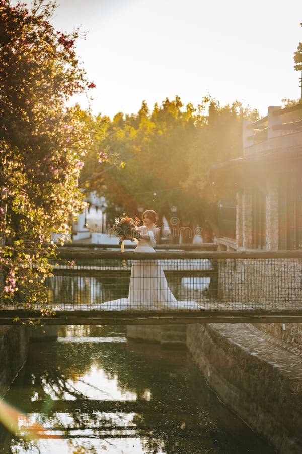 Beautiful Bride Standing on Wooden Rustic Bridge at Sunset Time Stock ...