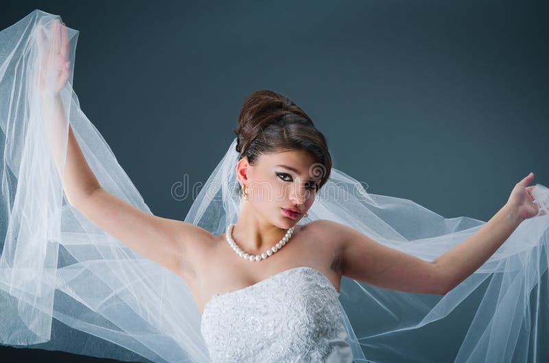 Beautiful bride in studio stock photo. Image of lady - 23604998