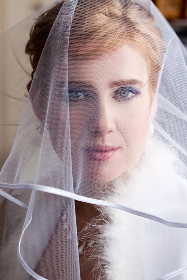Beautiful bride in a veil stock photo. Image of happy - 30327608