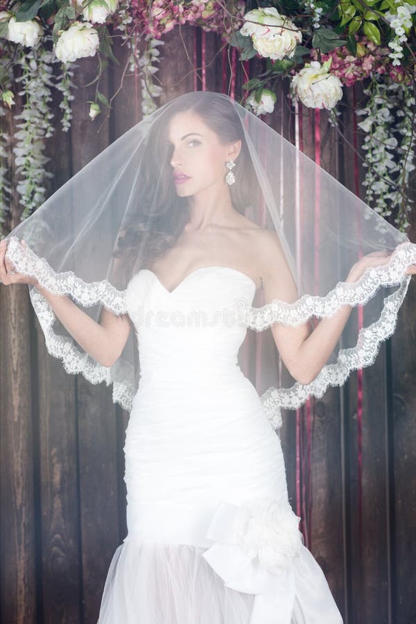 Beautiful Bride in a Wedding Dress with Bare Shoulders and Veil Stock ...
